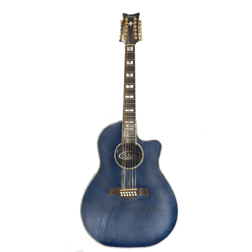 Schecter Diamond Series Elite 12 String Acoustic Electric Guitar - Cash ...
